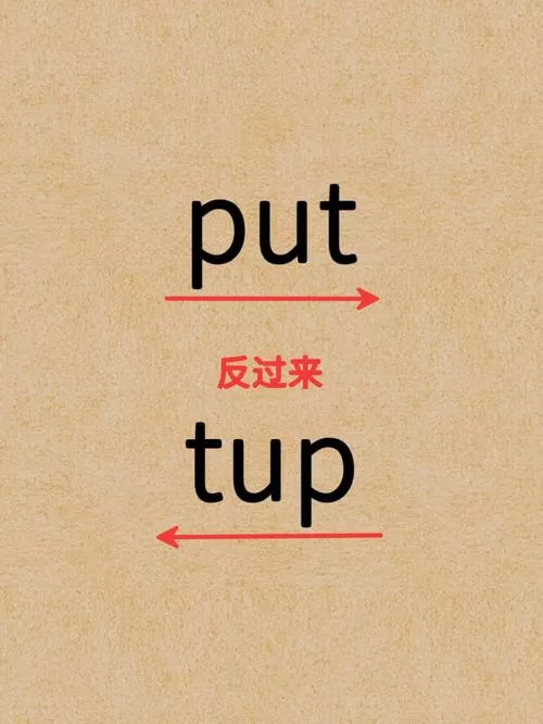put…in翻译成截图