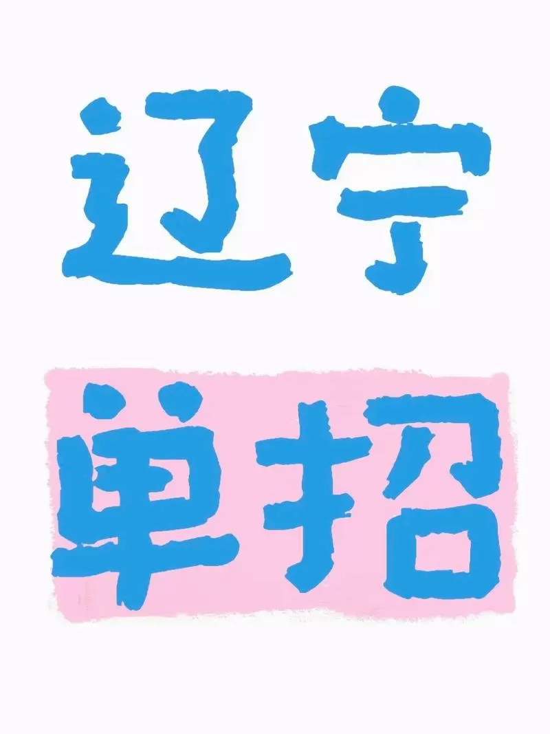 沈阳市招生考试截图