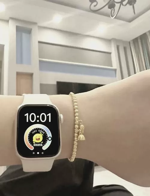 苹果手表常亮功能没有了截图