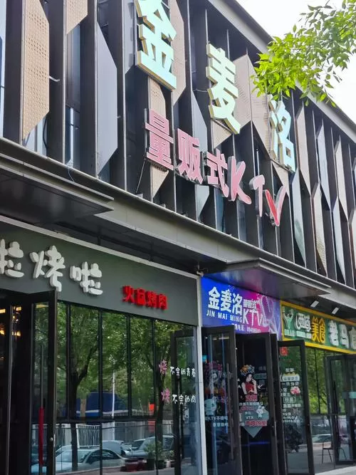 金麦专业k歌下载图标