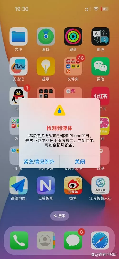 苹果手机为什么充不进去电图标