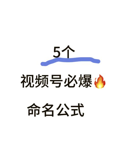 视频命名格式怎么弄
