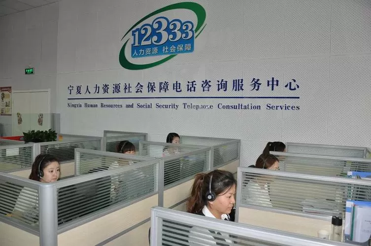 宁夏12333图标