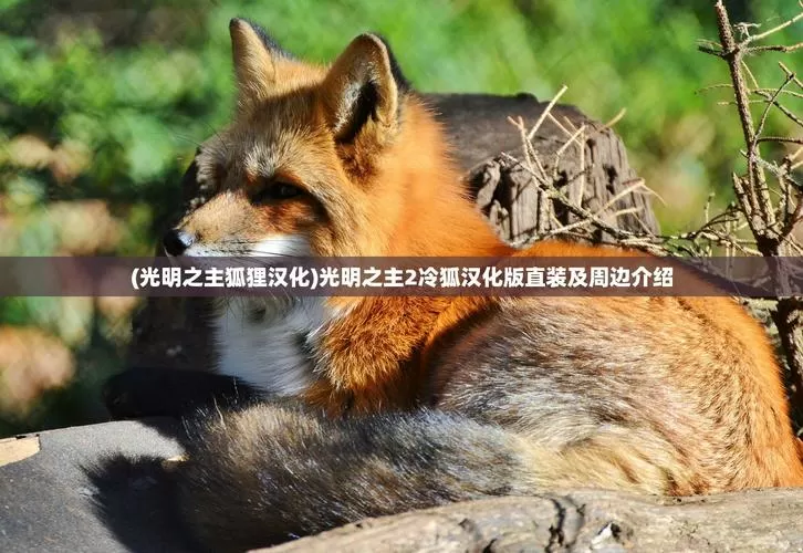 光明之主2冷狐汉化版直装图标