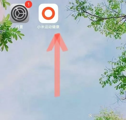 小米8设置自己照片表盘截图