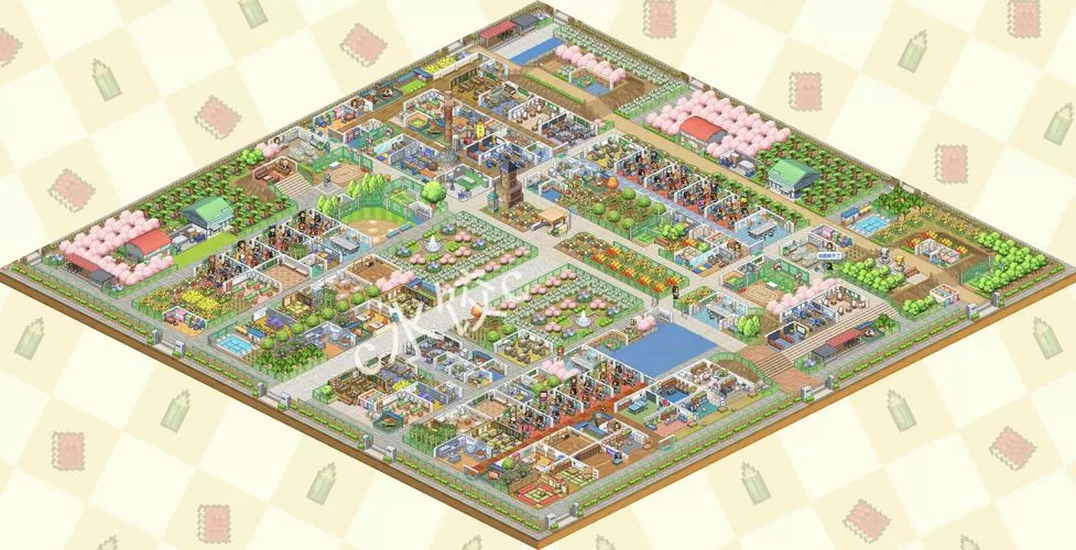 口袋学院物语3完美布局图高清
