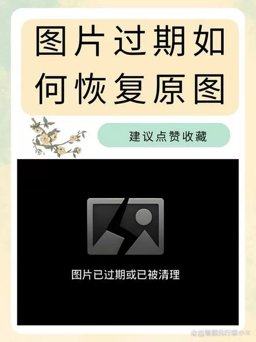 我相册里的照片全没了怎么恢复截图