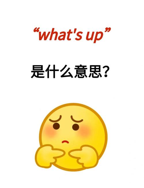 whatisup怎么回答截图