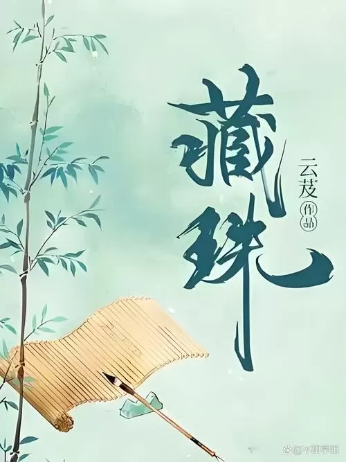 云芨的小说合集图标