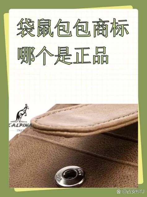 袋鼠钱包