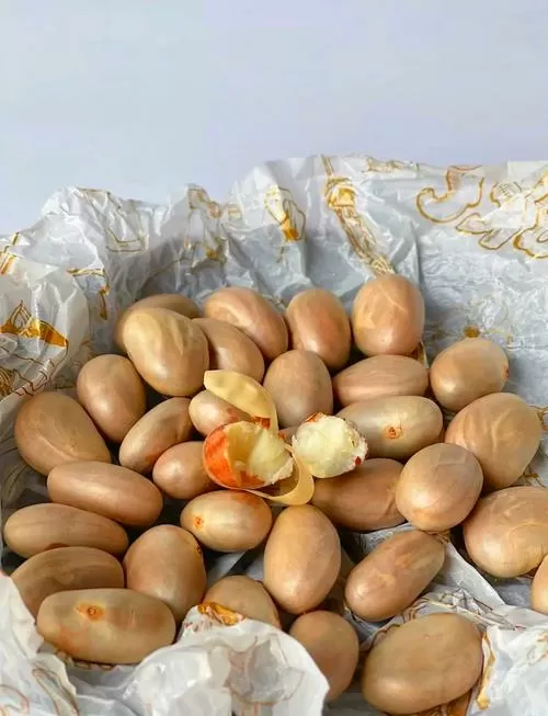 菠萝蜜的核能种活吗截图