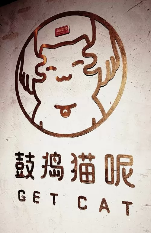 猫调皮怎么教训它截图