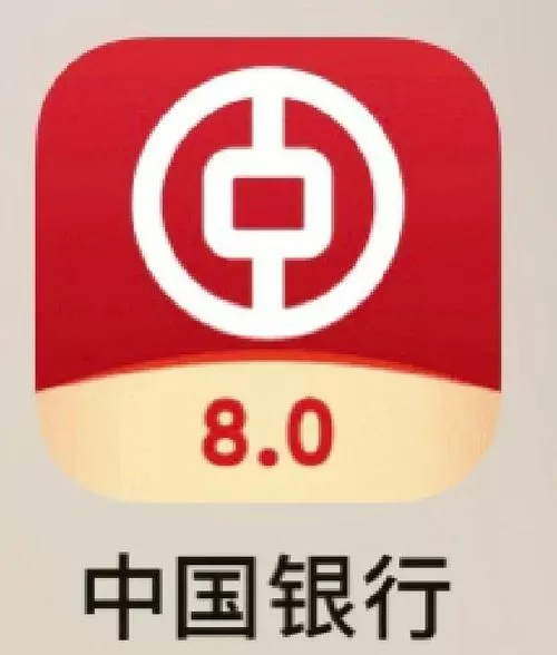 中行网银密码是几位数图标