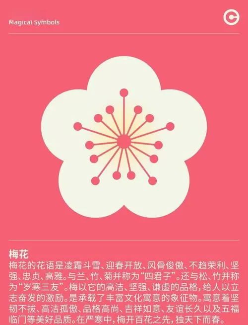 梅花视频旧版每天看图标