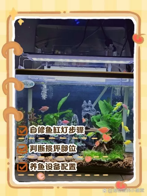 鱼缸触屏坏了怎么办