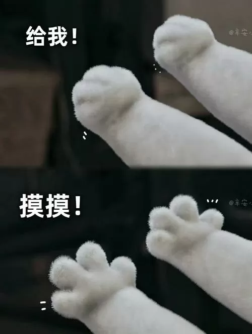 摸摸腹肌猫爪表情包截图