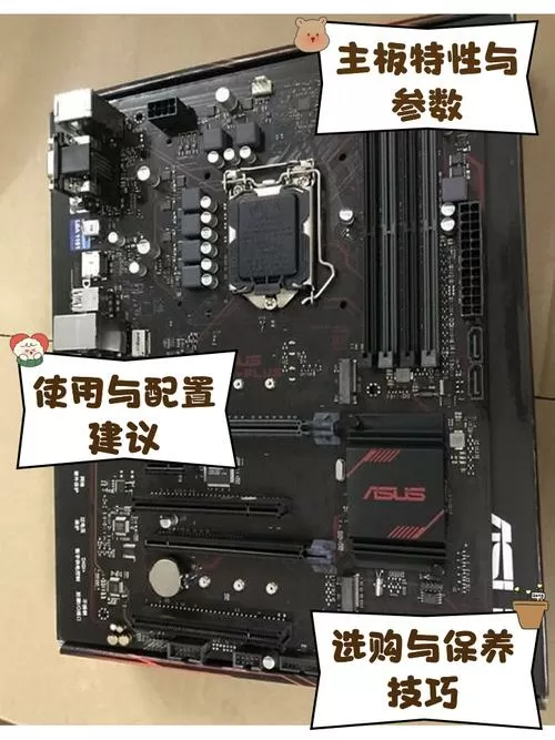 华硕b150主板能用几代cpu图标