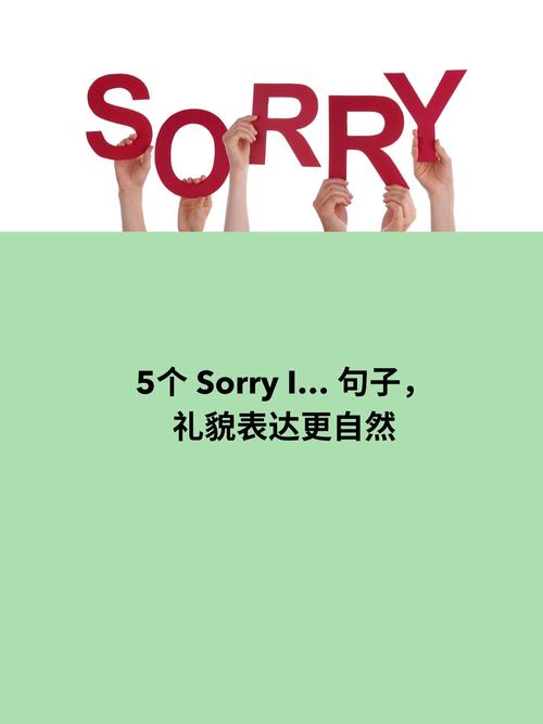 对不起对方无应答是什么意思截图