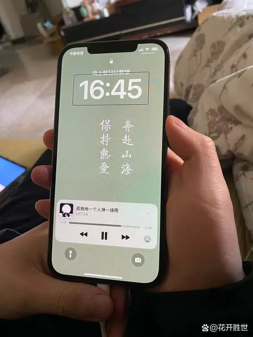 iphone出现框框 按不了图标