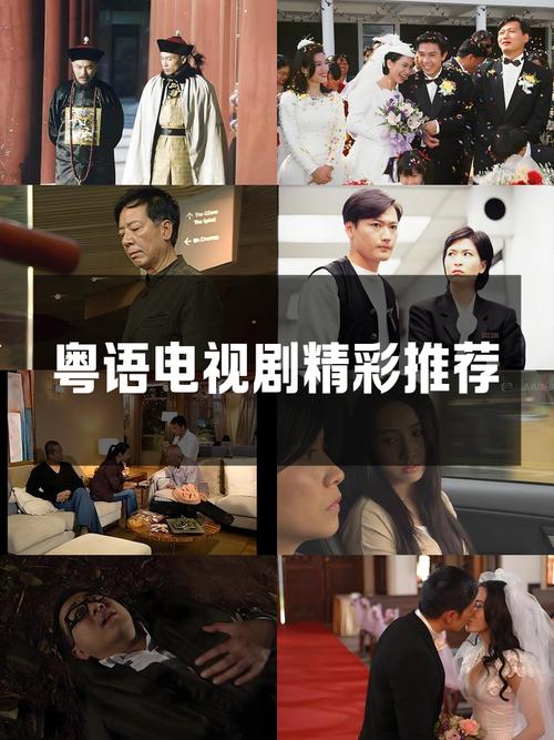 939394粤正影视电视剧