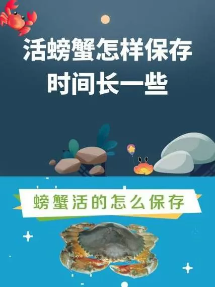 螃蟹能存活几天不死图标