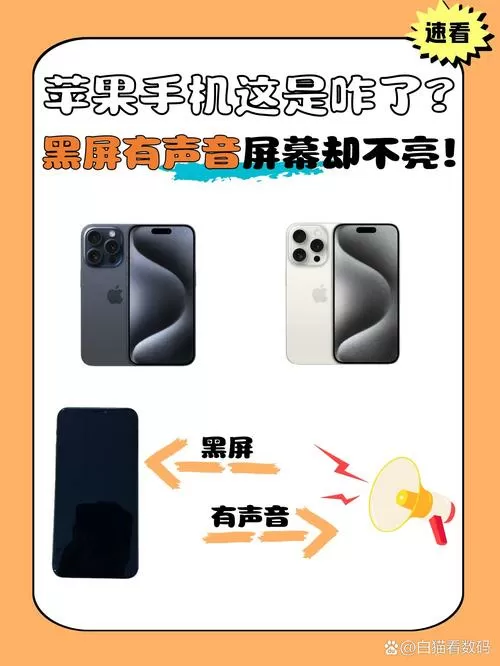 手机有声音屏幕黑屏是什么原因图标
