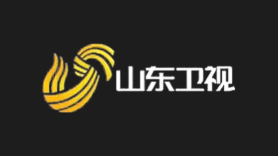 山东卫视截图
