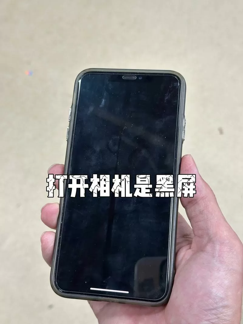 苹果后相机黑屏怎么回事,前面正常截图