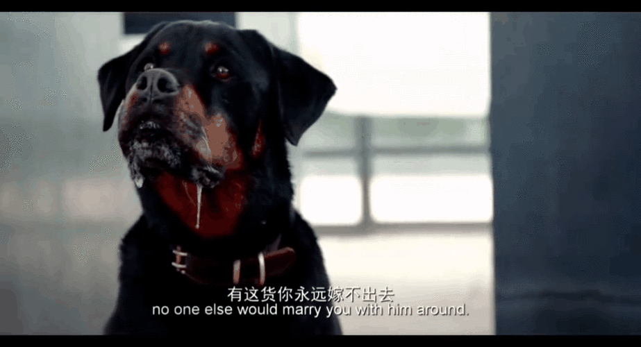 《宠爱》豪七截图