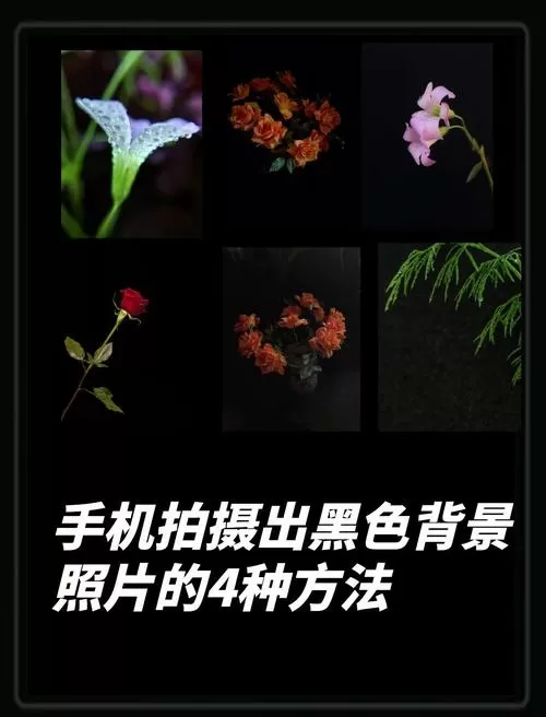 手机拍照黑色背景怎么设置图标