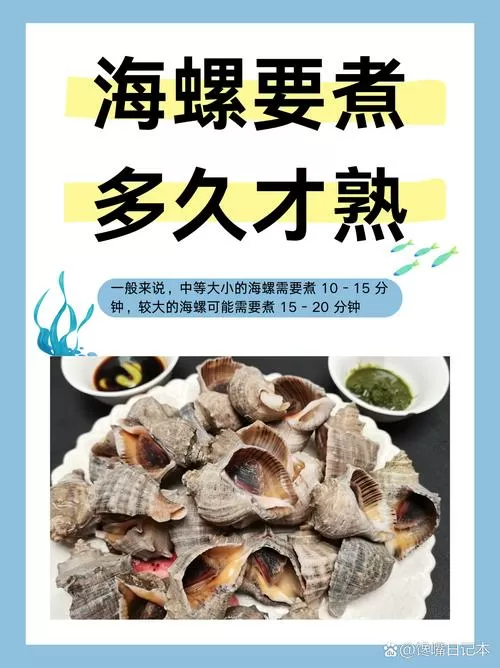 海螺蒸时间长了会很硬吗图标