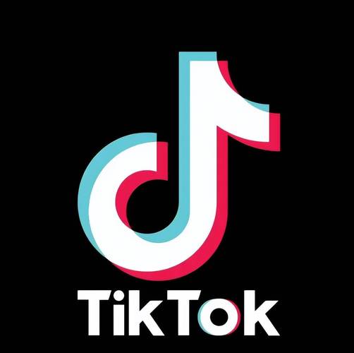 tiktok助手图标