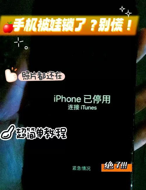 苹果手机被锁住了,刷机可以解决吗图标