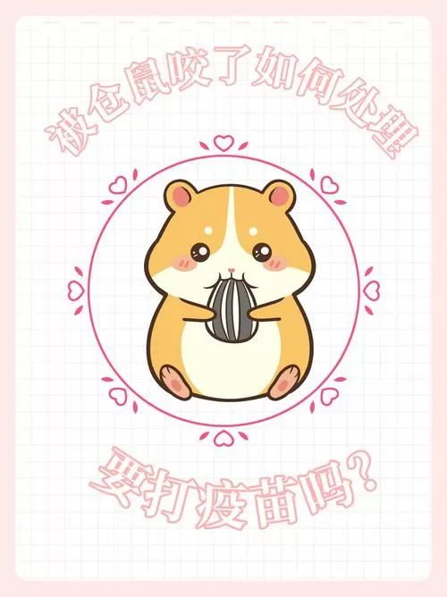 被仓鼠幼崽咬了怎么办图标
