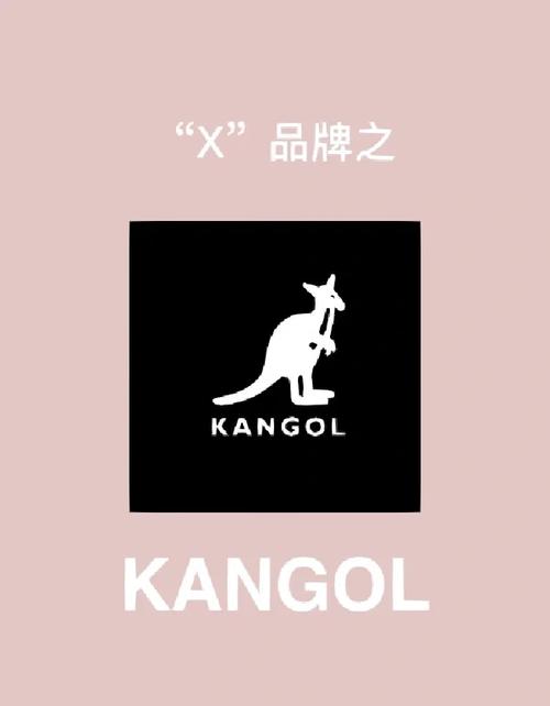 袋鼠点点提不了现,没人管吗?图标