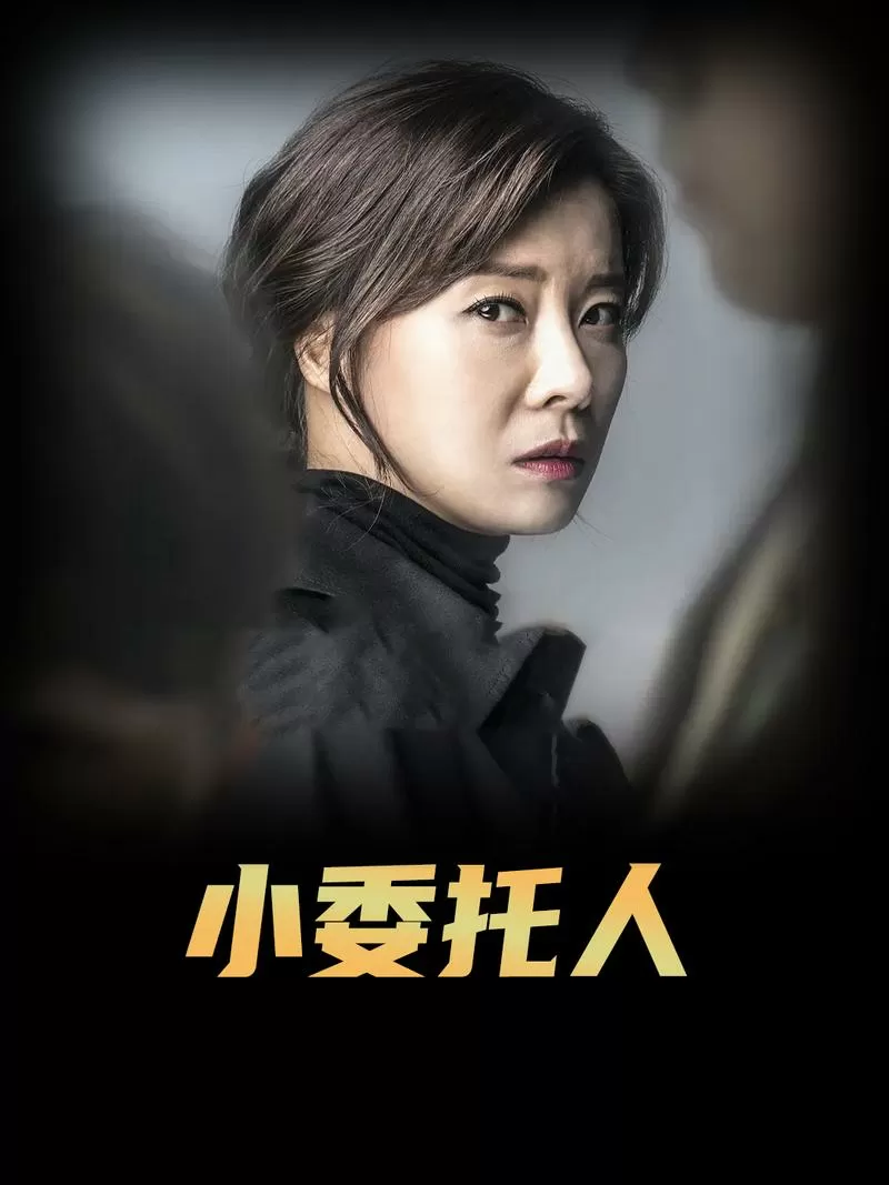 小委托人真实案件结局