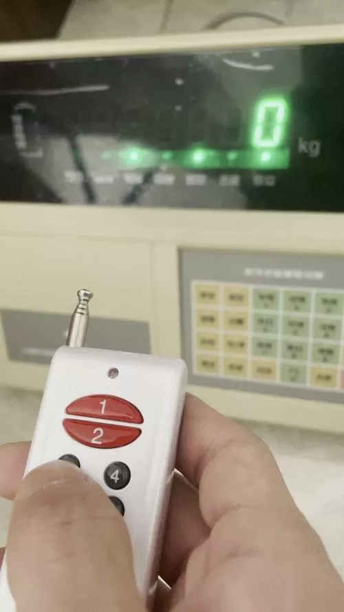 地磅防遥控干扰器图标
