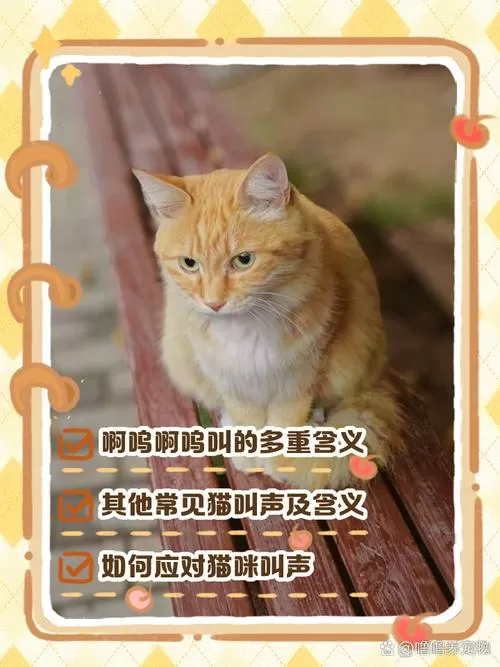 猫喵呜喵呜的叫啥意思图标
