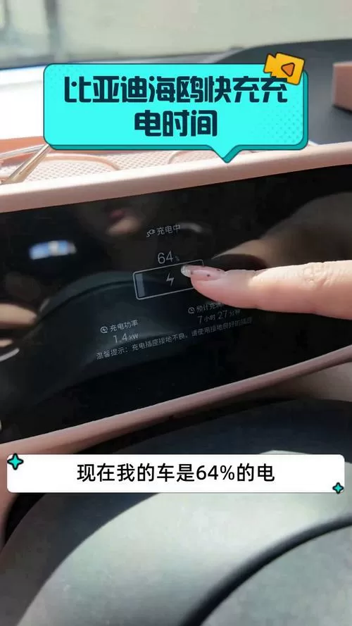比亚迪海鸥充放电次数是多少次图标