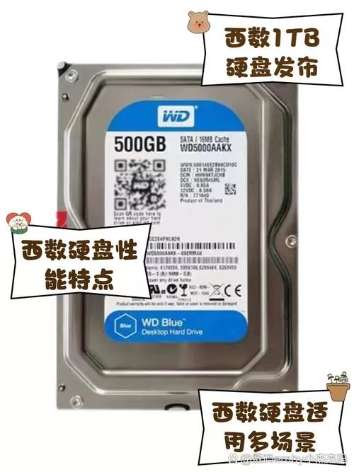 硬盘容量pb截图