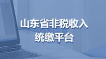 山东非税收入统缴平台图标