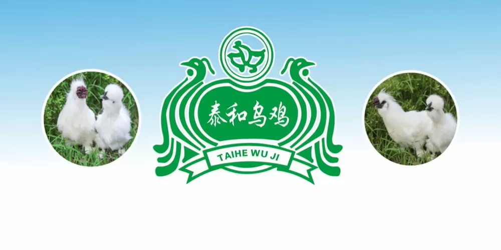 中国最大养鸡基地图标