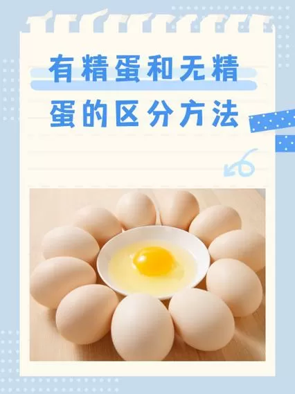 产生无精蛋的原因图标
