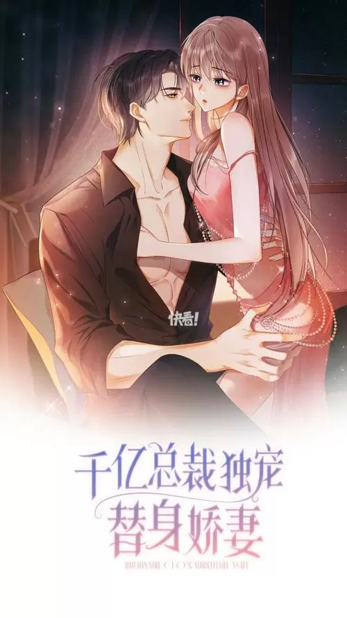 总裁的替身妻图标