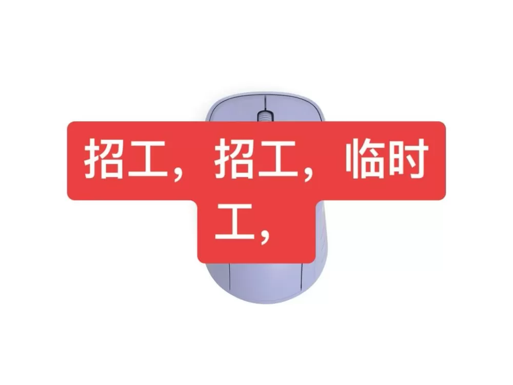 巩义最新招聘临时工