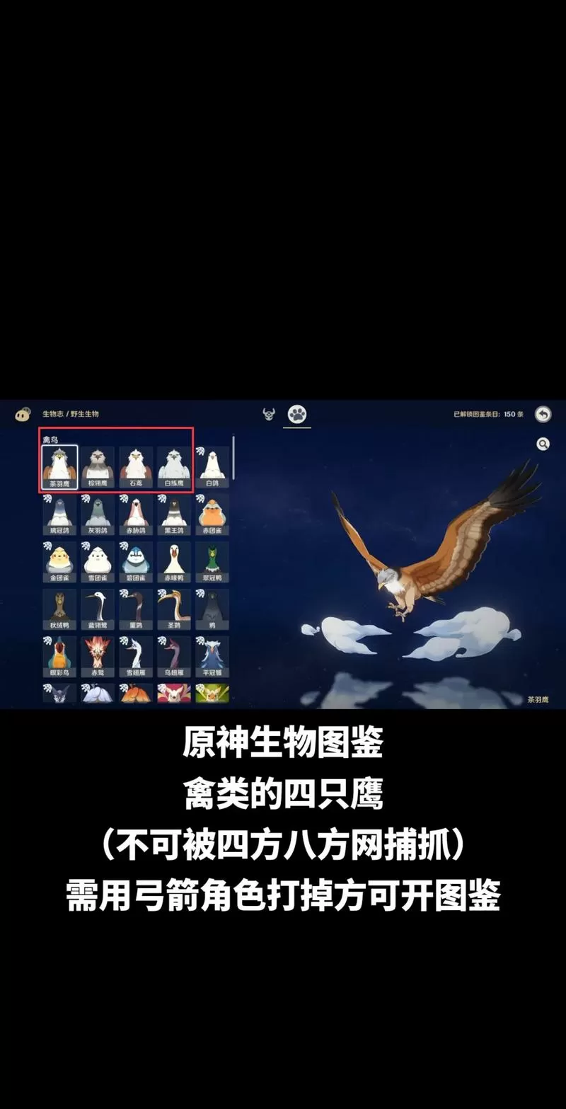 原神可抓捕的动物一览