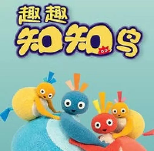 趣趣知知鸟中文图标