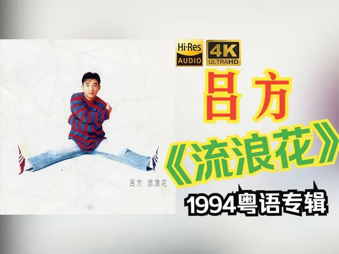 流浪花国语版叫什么图标