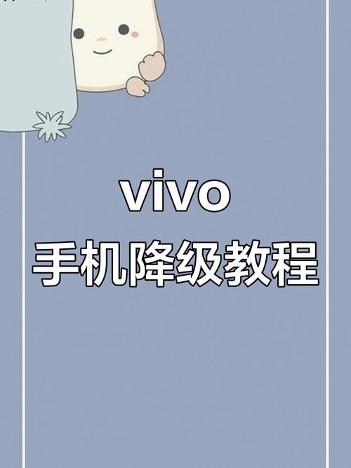 vivo系统降级工具