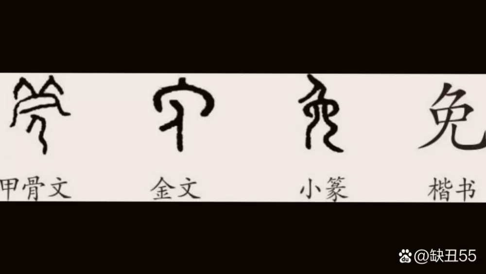 免的甲骨文